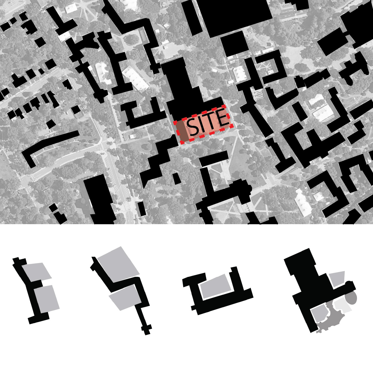 Princeton Parasite – Jacob Swanson